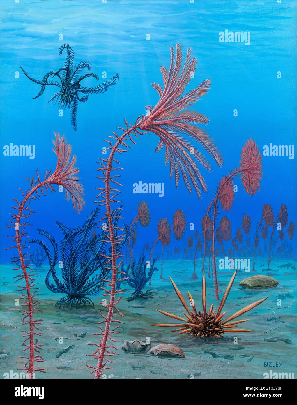 Illustration of a scene showing the seafloor during the late Bathonian ...