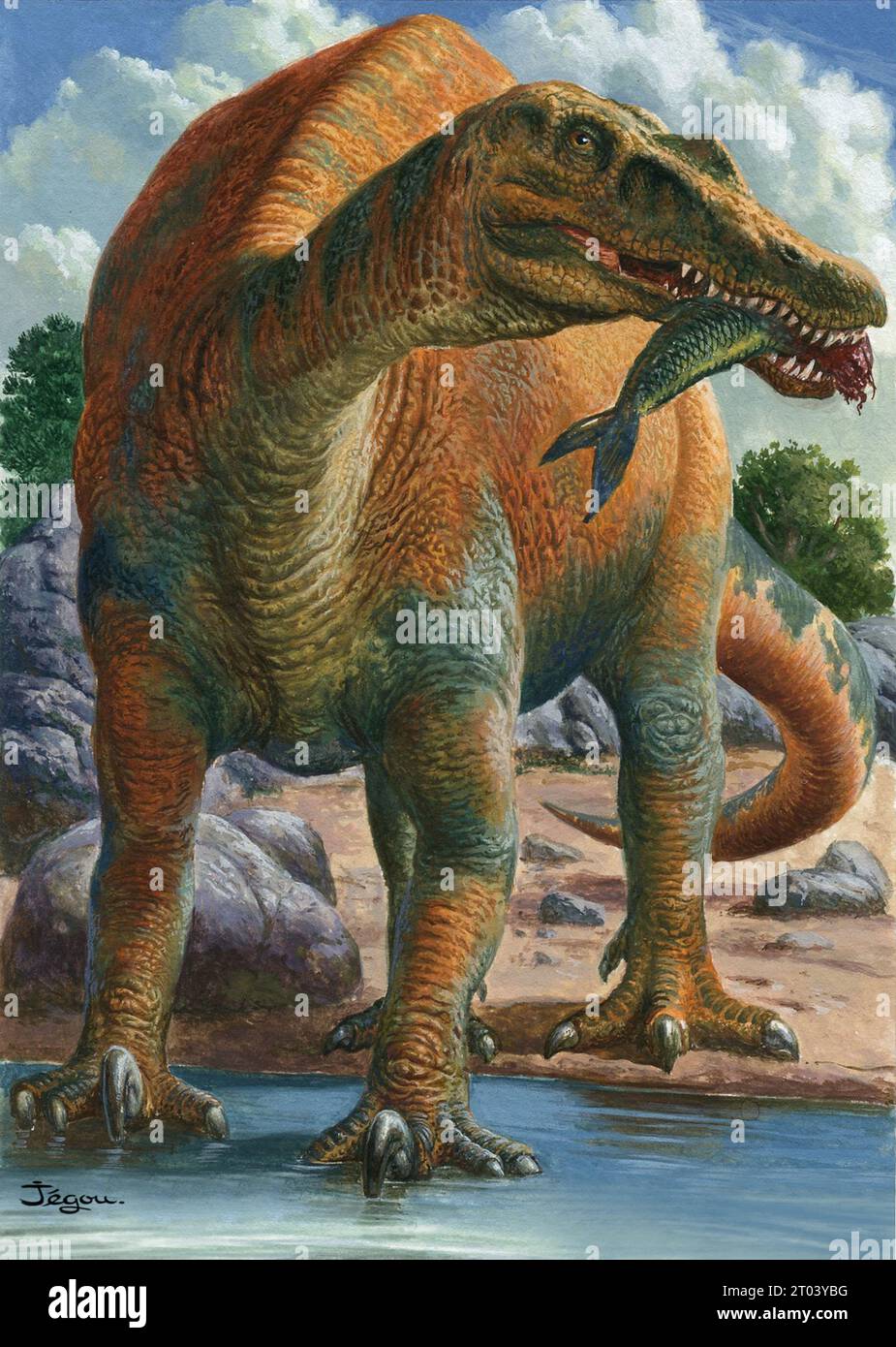 Baryonyx dinosaur, illustration. Baryonyx was a fish-eating carnivore ...