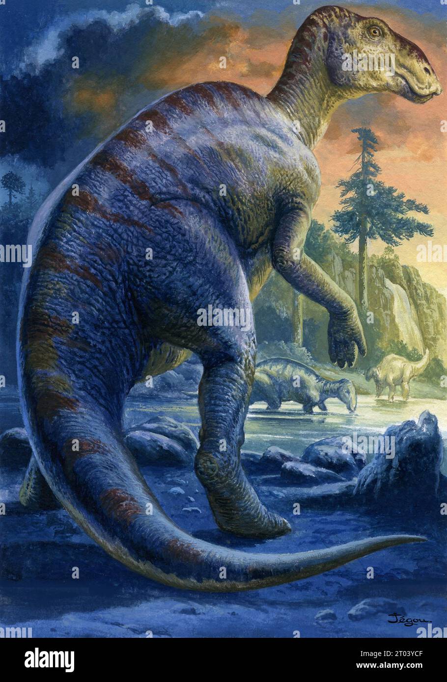 Edmontosaurus dinosaur, illustration. This herbivorous ornithopod hadrosaur (duck-billed ...
