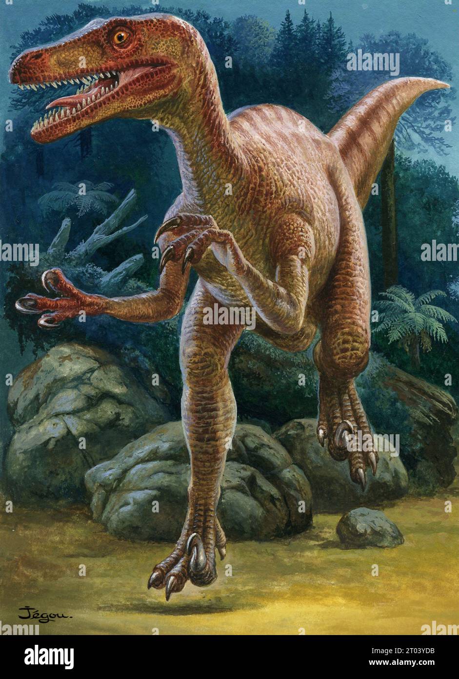 Velociraptor dinosaur, illustration. This small carnivorous theropod ...