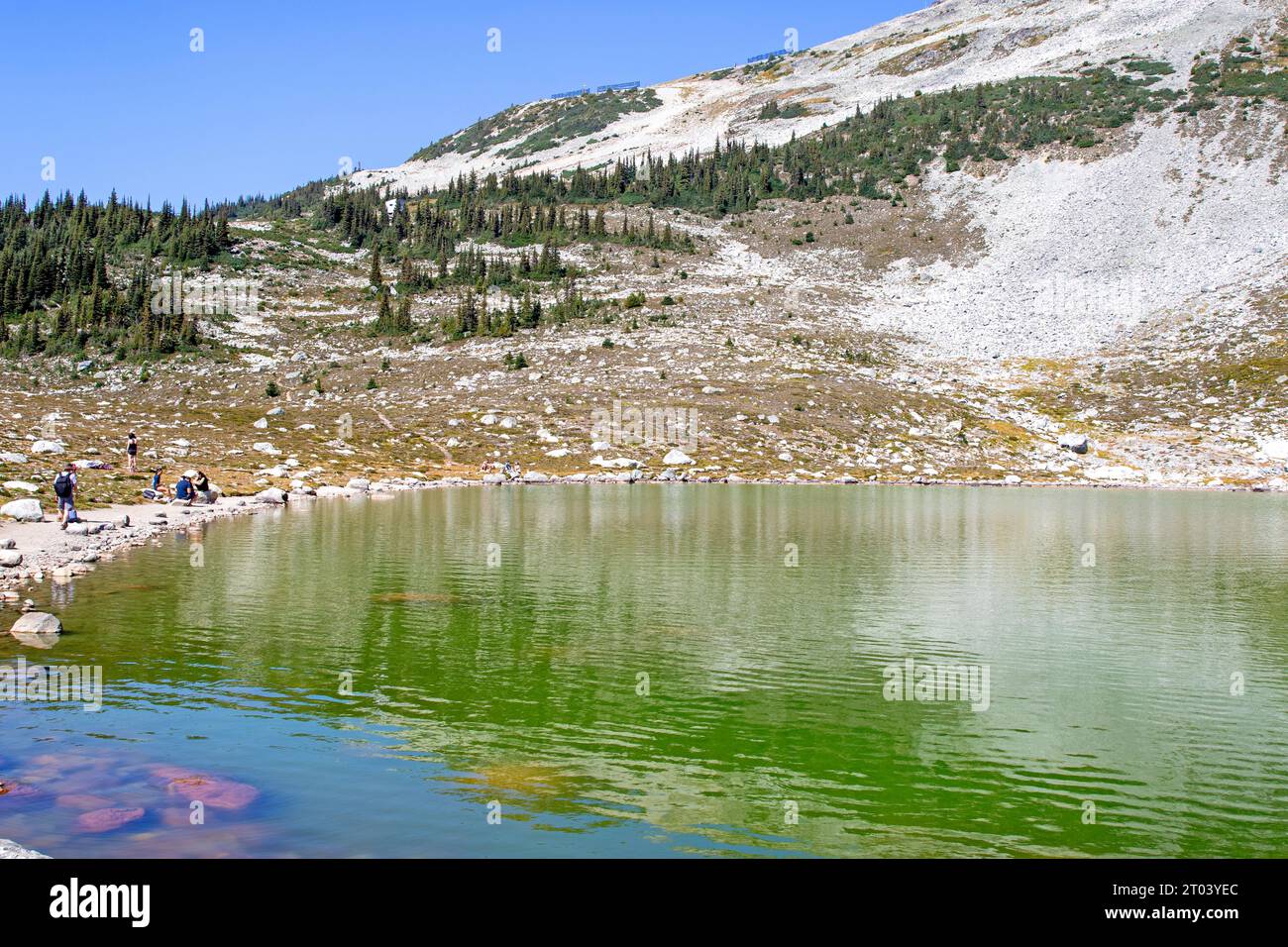 Blackcomb hi-res stock photography and images - Alamy