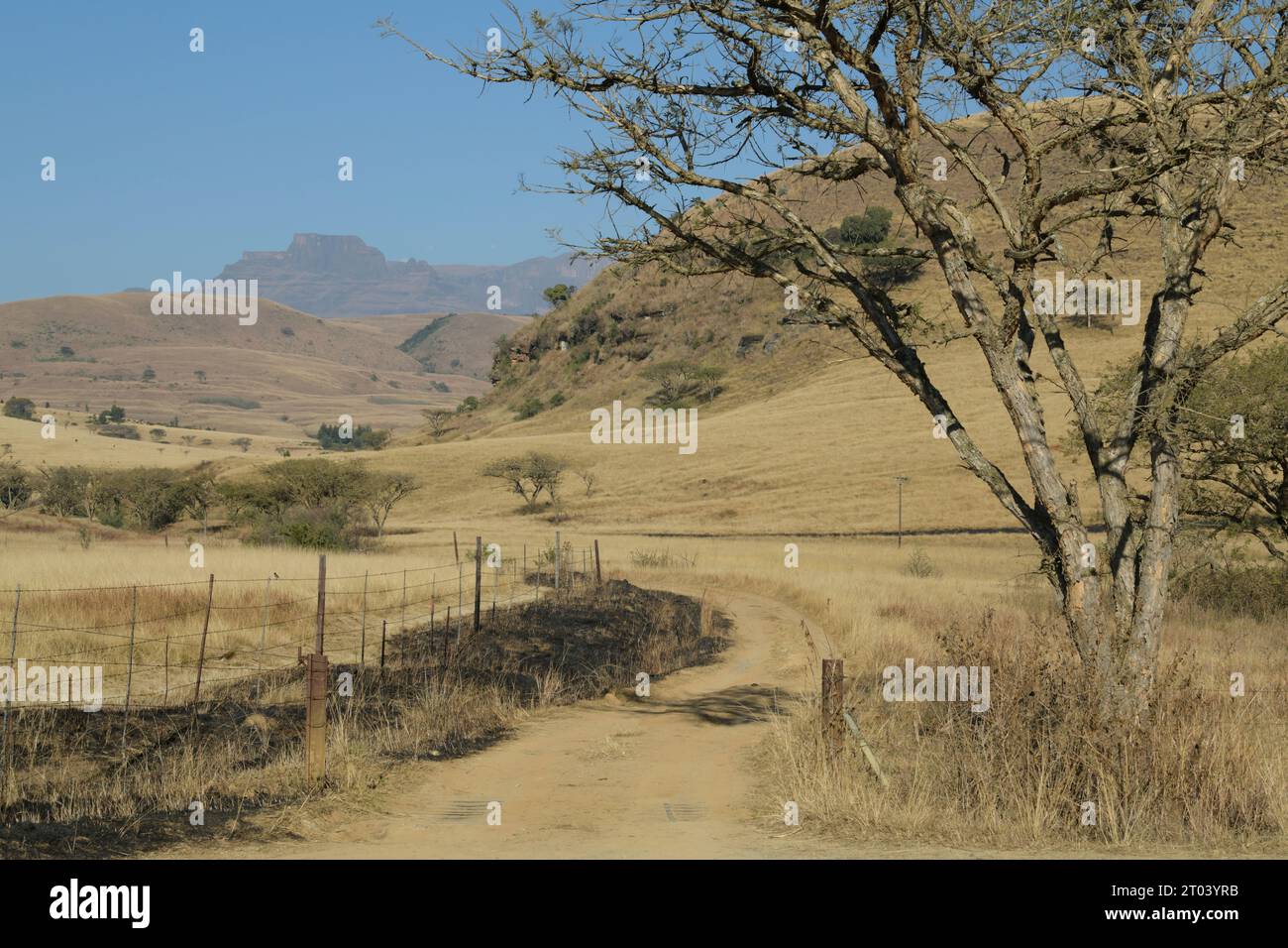 Farm road, winter landscape, Drakensberg region, South Africa, country ...