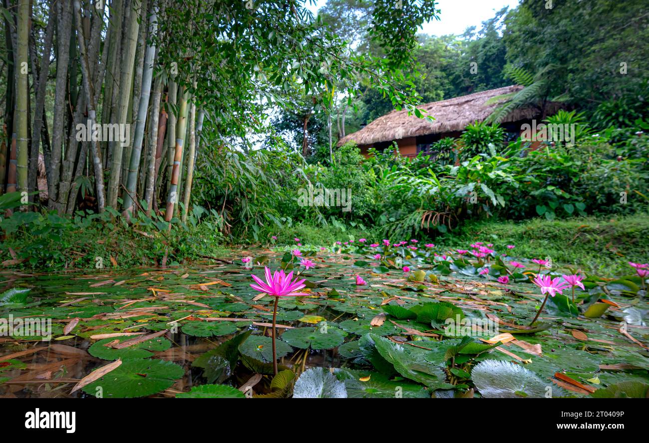 4 star resort Panhou Retreat - September 9, 2023: 4 star resort Panhou ...