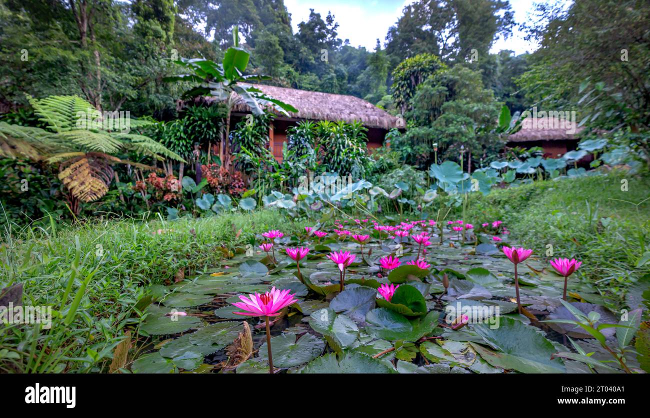4 star resort Panhou Retreat - September 9, 2023: 4 star resort Panhou ...