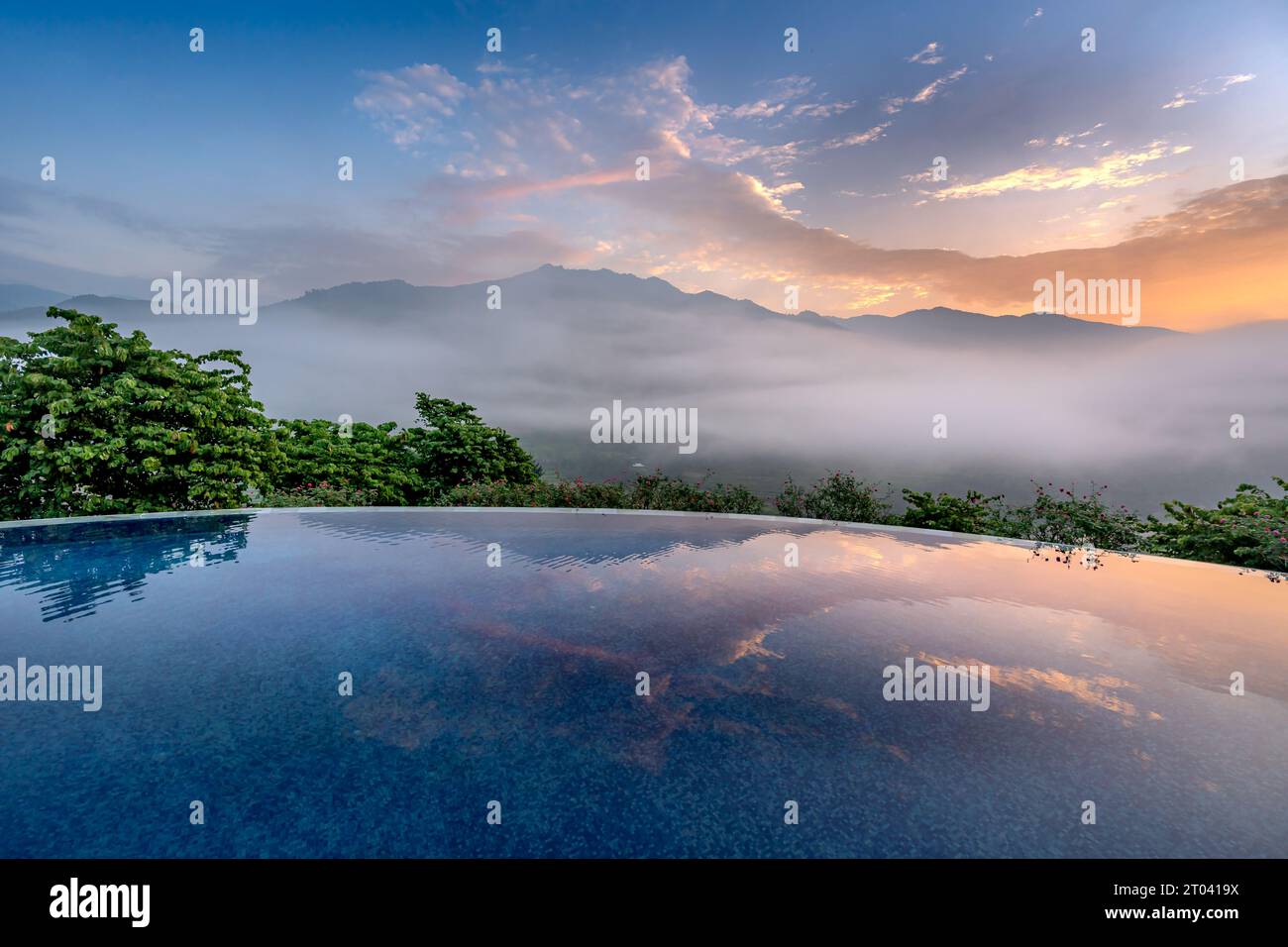 Infinity pool in forest hi-res stock photography and images - Alamy