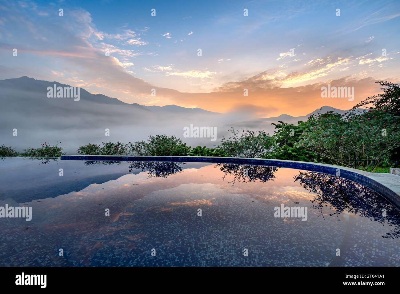 Infinity pool in forest hi-res stock photography and images - Alamy