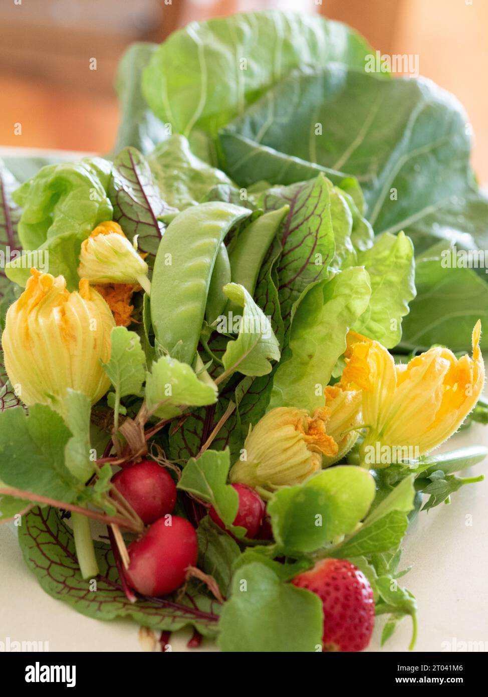 Fresh food harvested from the vegetable garden, colourful produce ...
