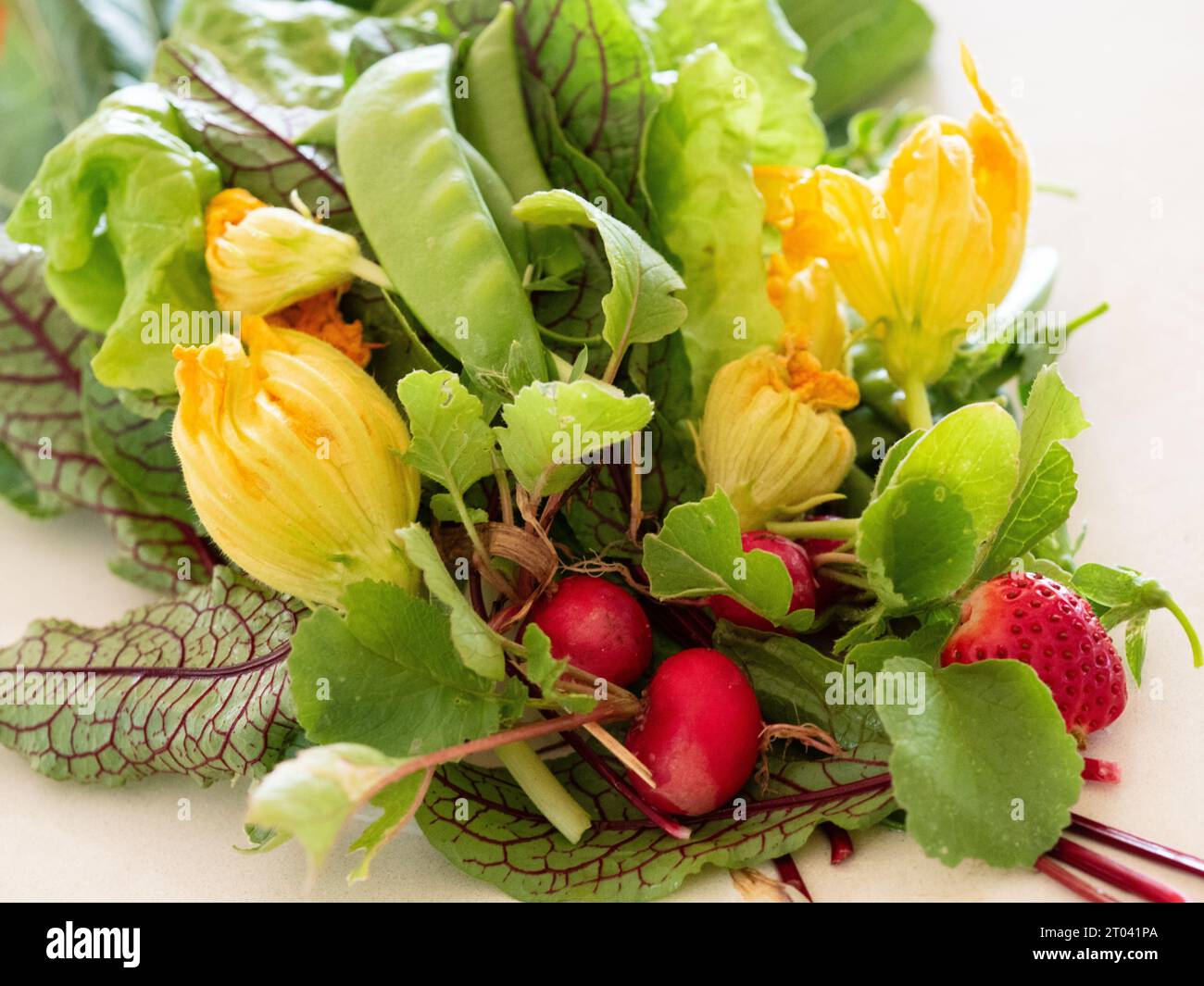 Fresh food harvested from the vegetable garden, colourful produce ...