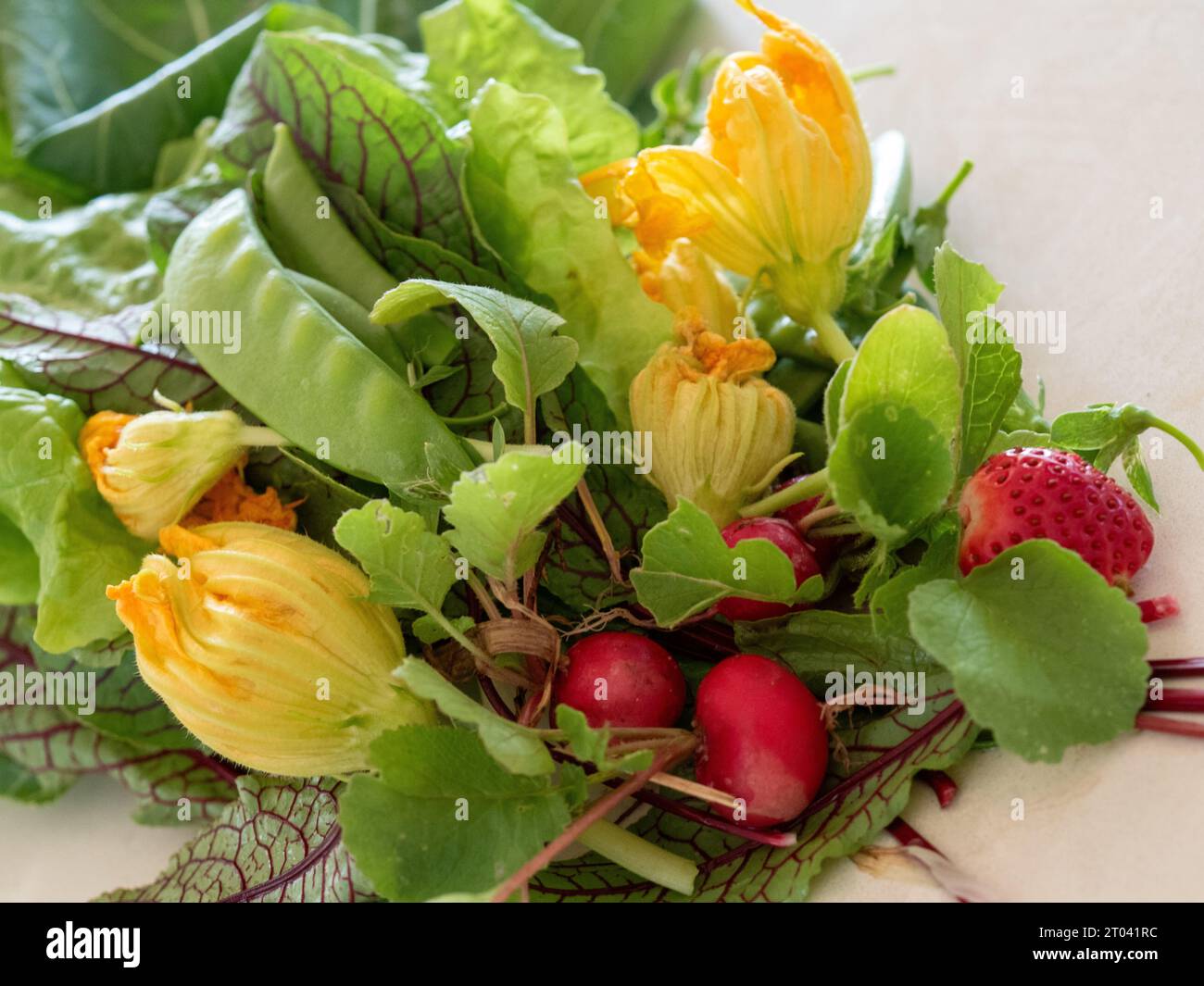 Freshly harvested food from the vegetable garden, pretty colourful ...