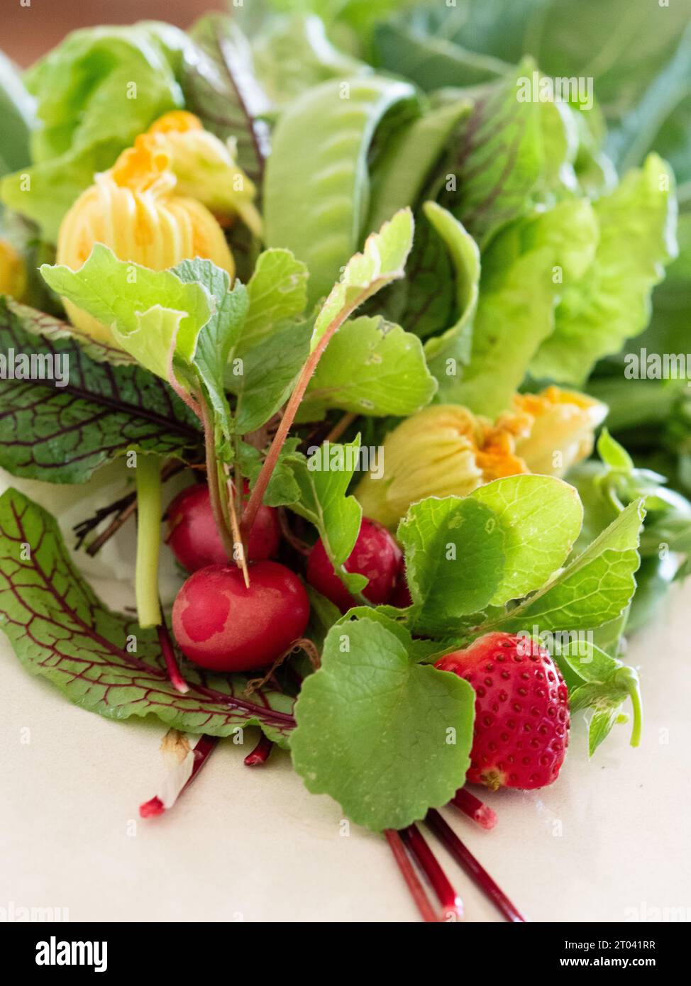 Fresh food harvested from the vegetable garden, colourful produce ...