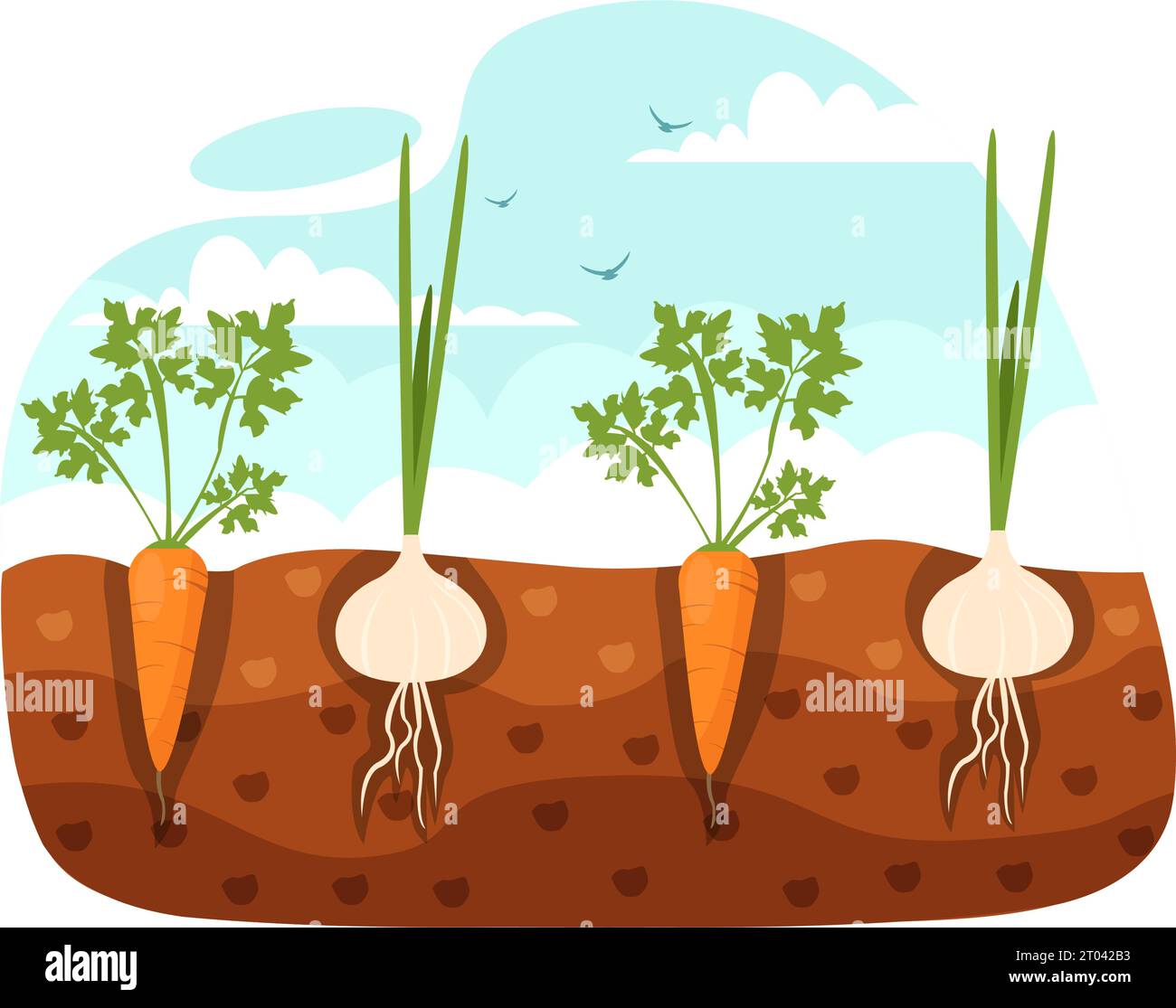 Growing Vegetables Vector Illustration with Harvest, Farming Various ...