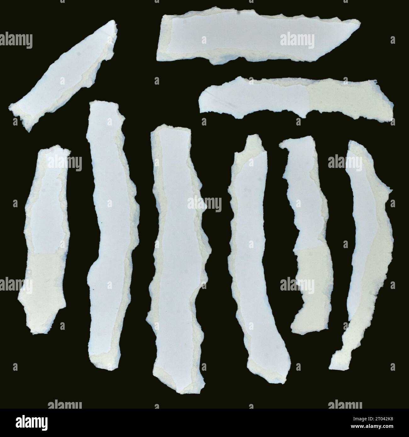 Paper scraps. Ripped papers, torn page pieces and scrapbook note paper ...