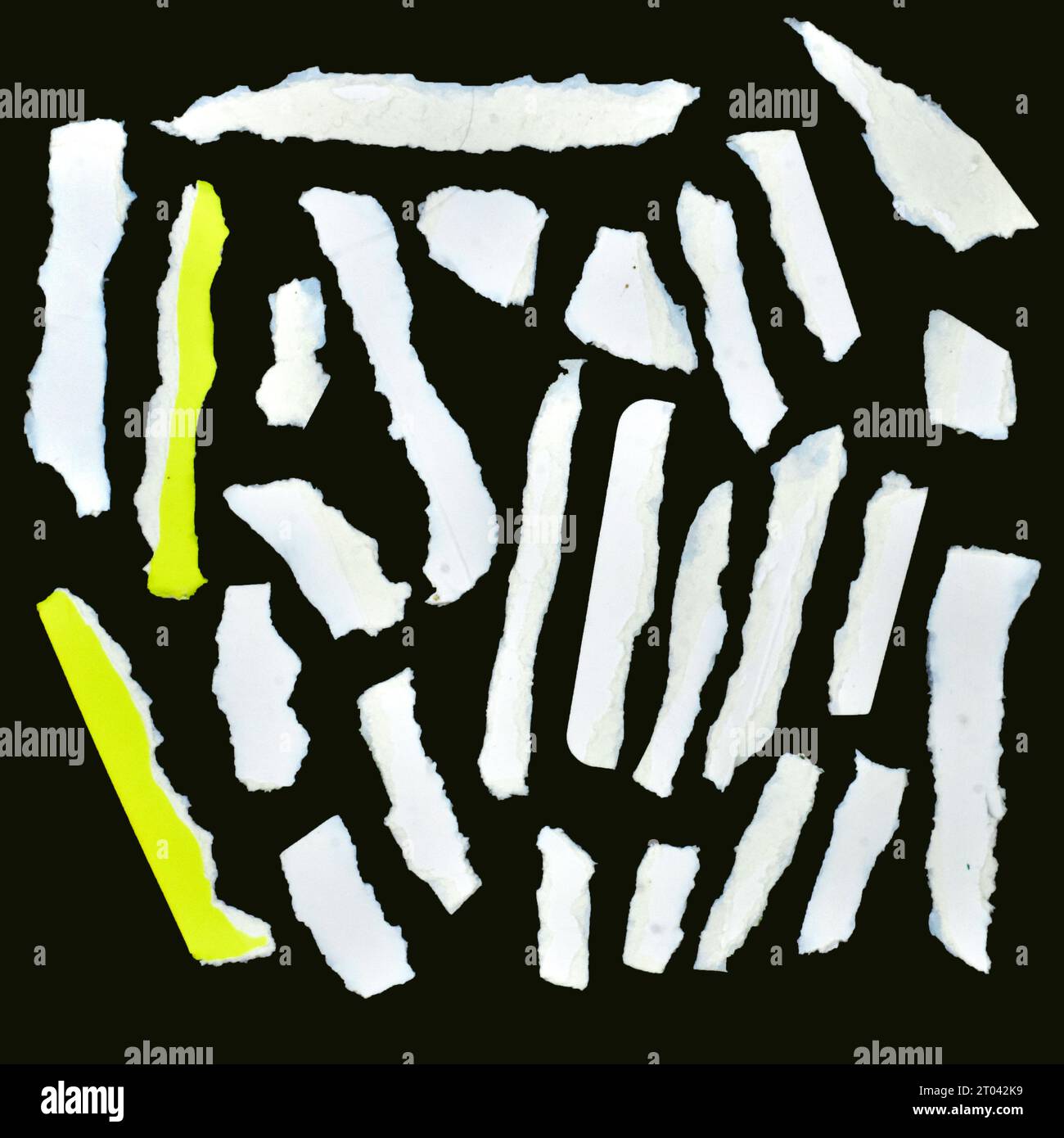 Paper scraps. Ripped papers, torn page pieces and scrapbook note paper ...