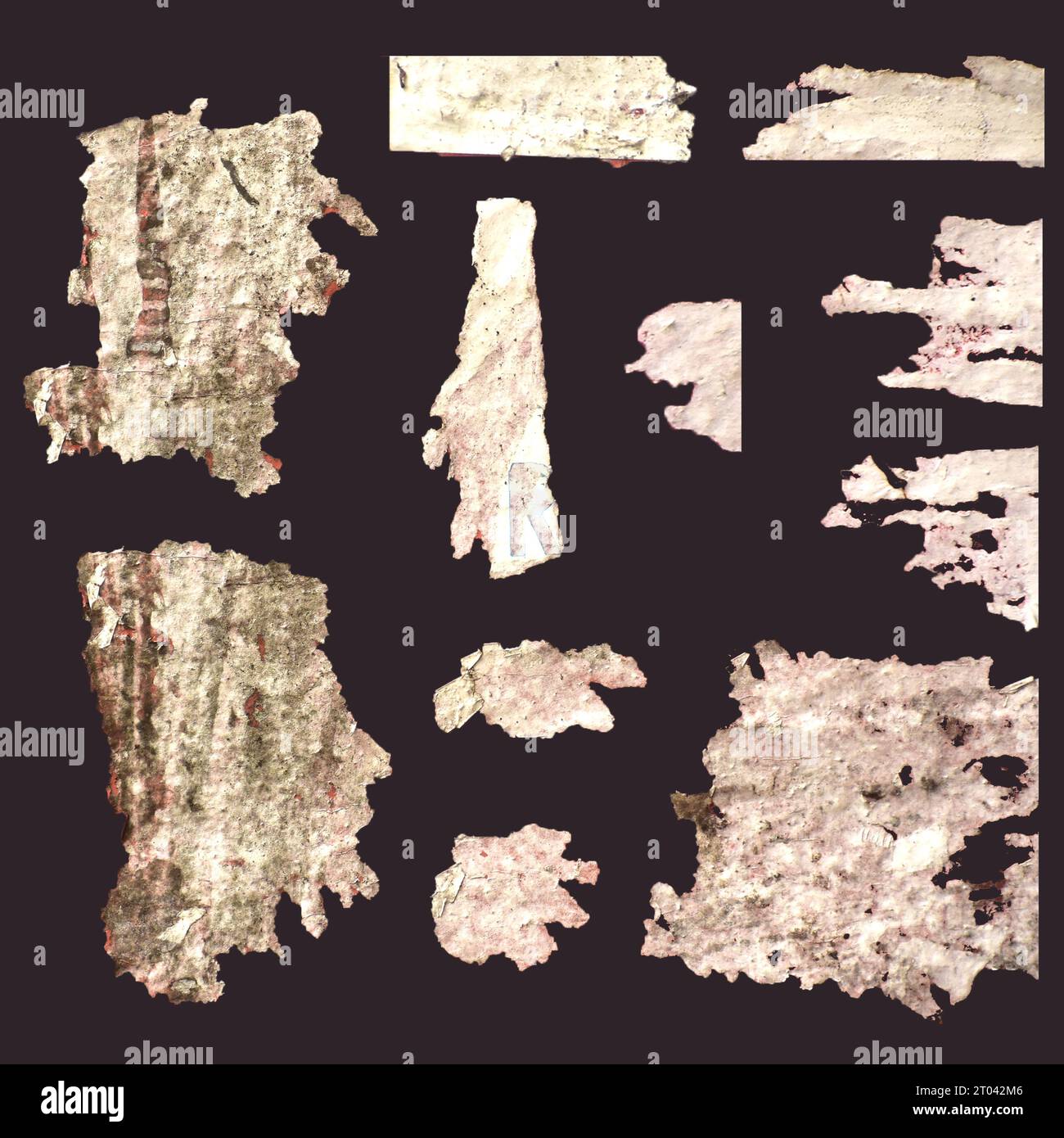 Paper scraps. Ripped papers, torn page pieces and scrapbook note paper ...