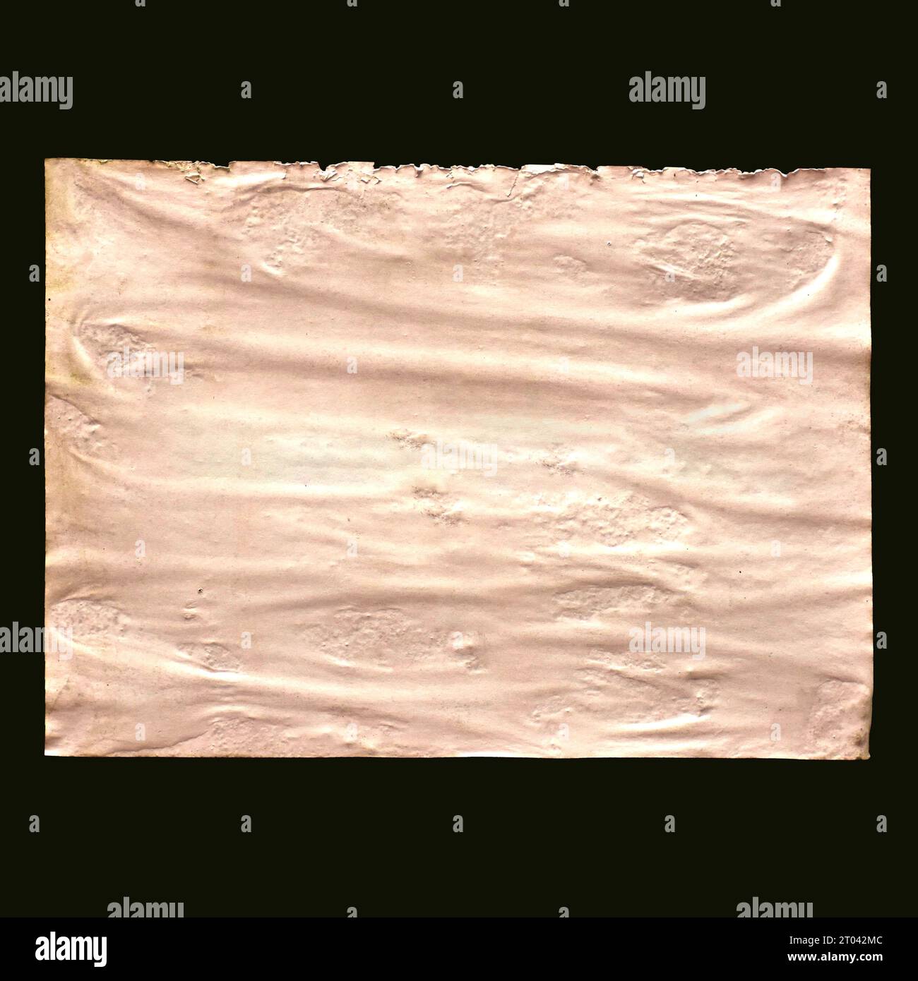 Paper scraps. Ripped papers, torn page pieces and scrapbook note paper ...