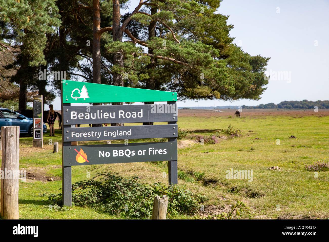 Beaulieu road car park New Forest National park,Hampshire,England,UK ...