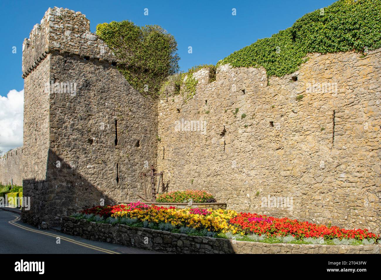 Tenby Castle Walls, Tenby, Pembrokeshire, Wales Stock Photo - Alamy