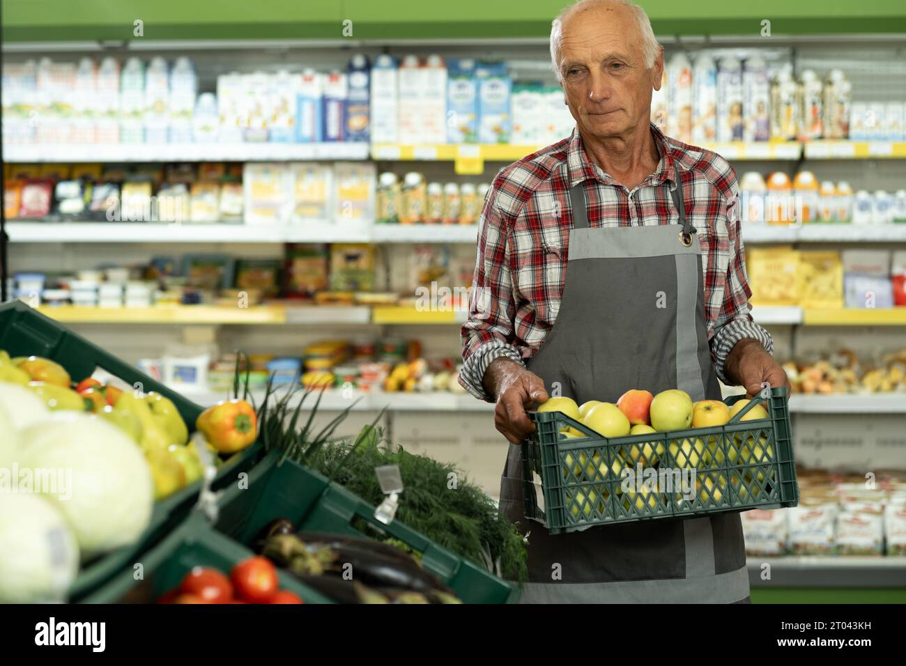 Portrait of Elderly male worker carrying apple's crate in grocery store ...