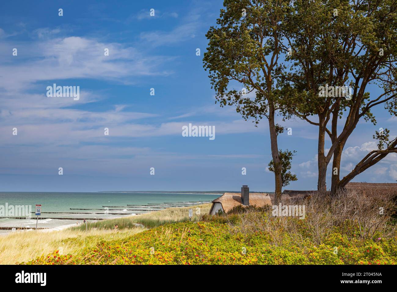 Coast near Ahrenshoop, Baltic Sea, Ahrenshoop, Mecklenburg-Western ...