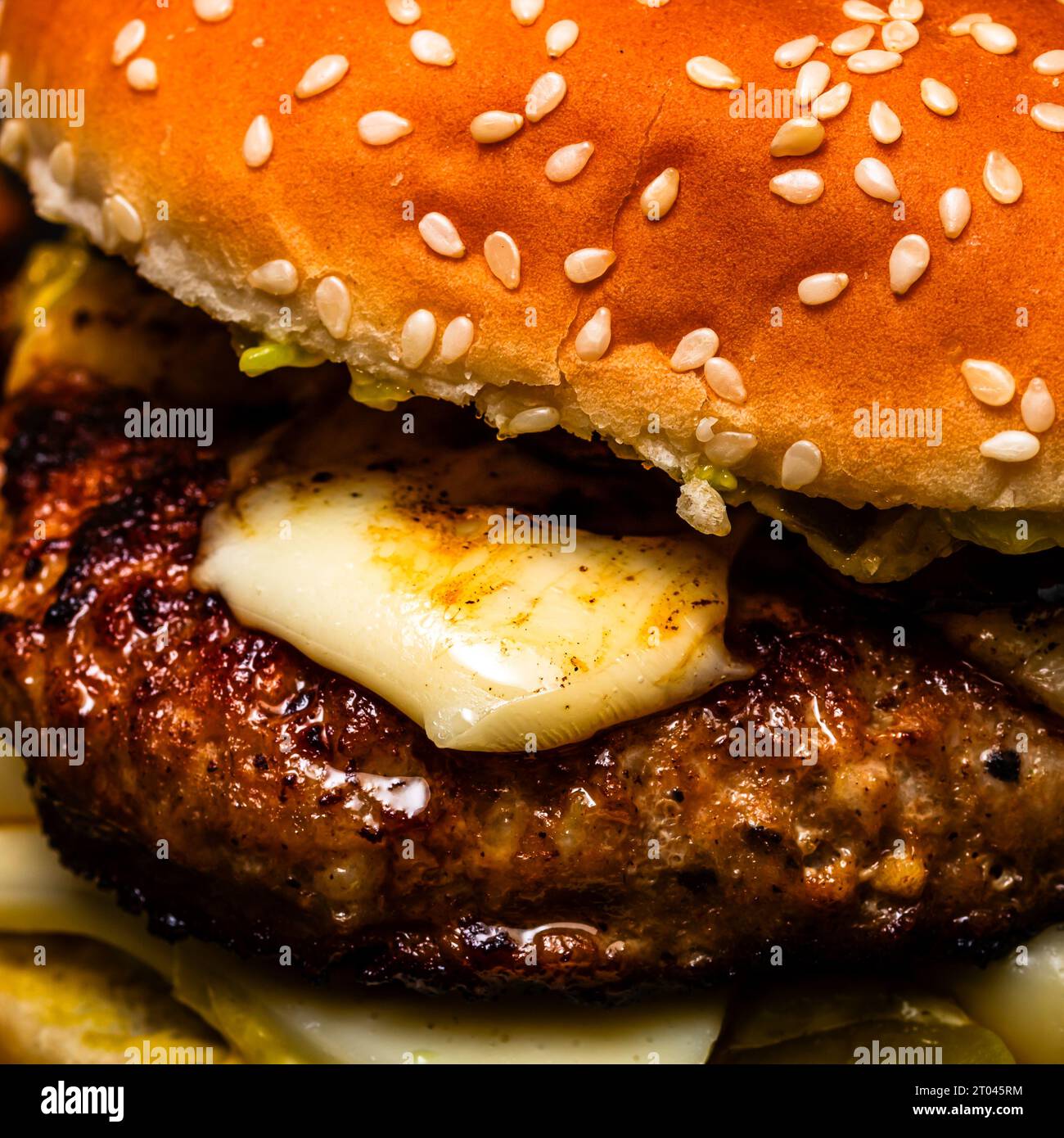 Tasty home made cheeseburger. Cheese burger with pickles, tomatoes ...