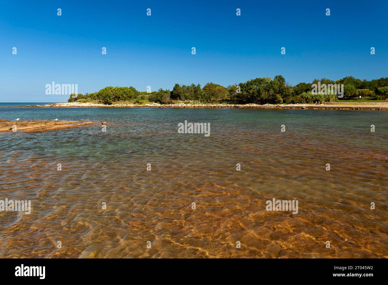 Beach on the stone coast of Zambratija, Istria, Croatia Stock Photo - Alamy