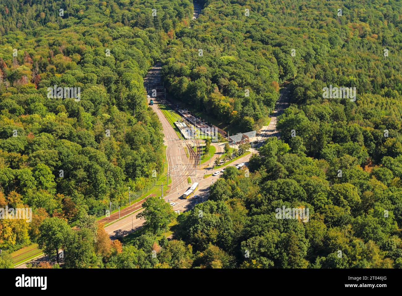 Kirchheimer forest hi-res stock photography and images - Alamy