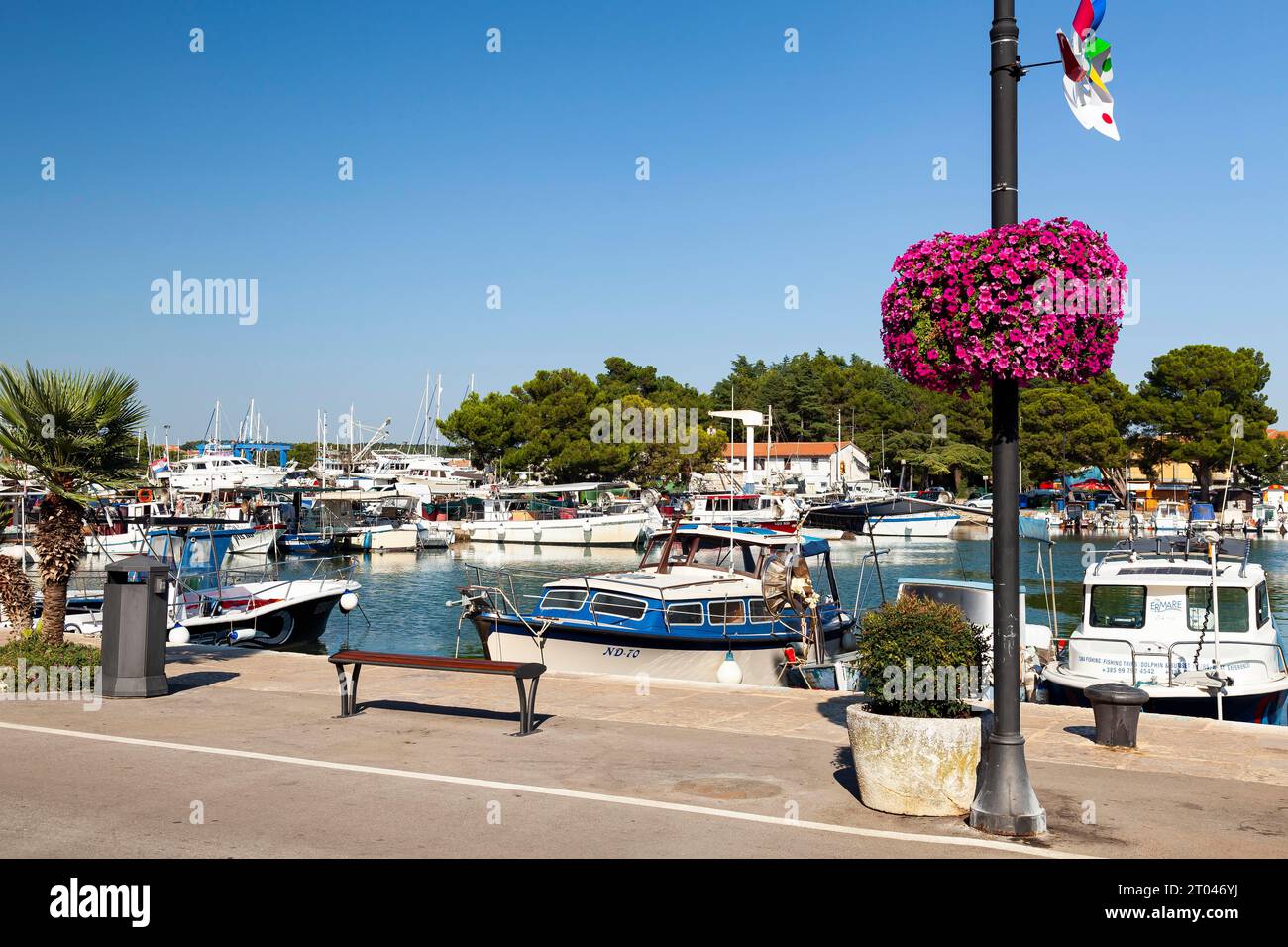 Novigrad port hi-res stock photography and images - Alamy