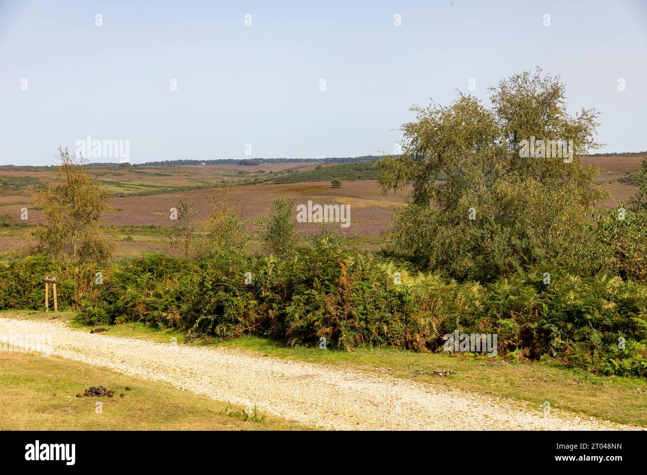 Ashley walk hampshire hi-res stock photography and images - Alamy