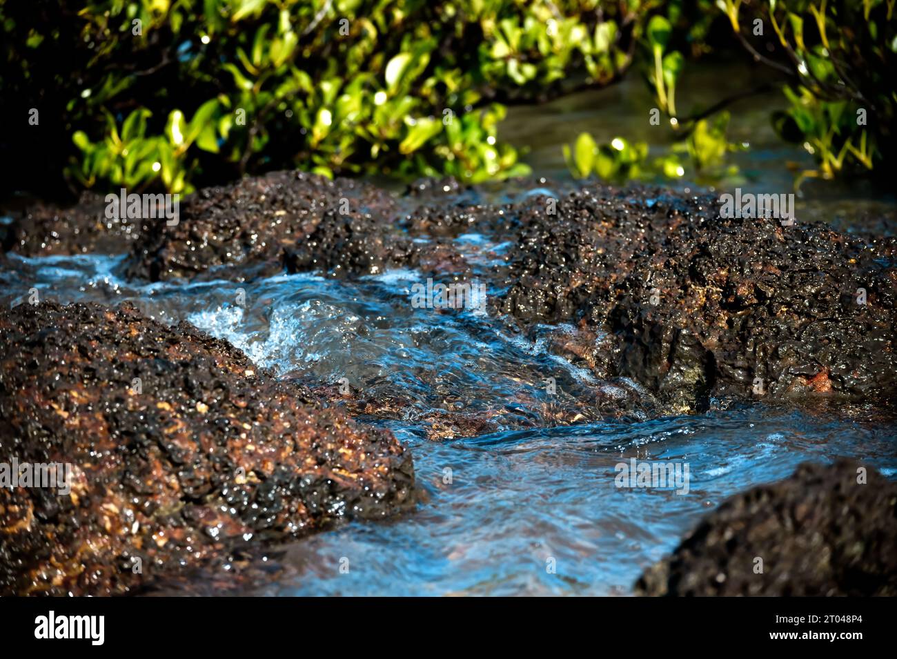 Small waves channel into new rock pools on the beach as the tide rolls ...