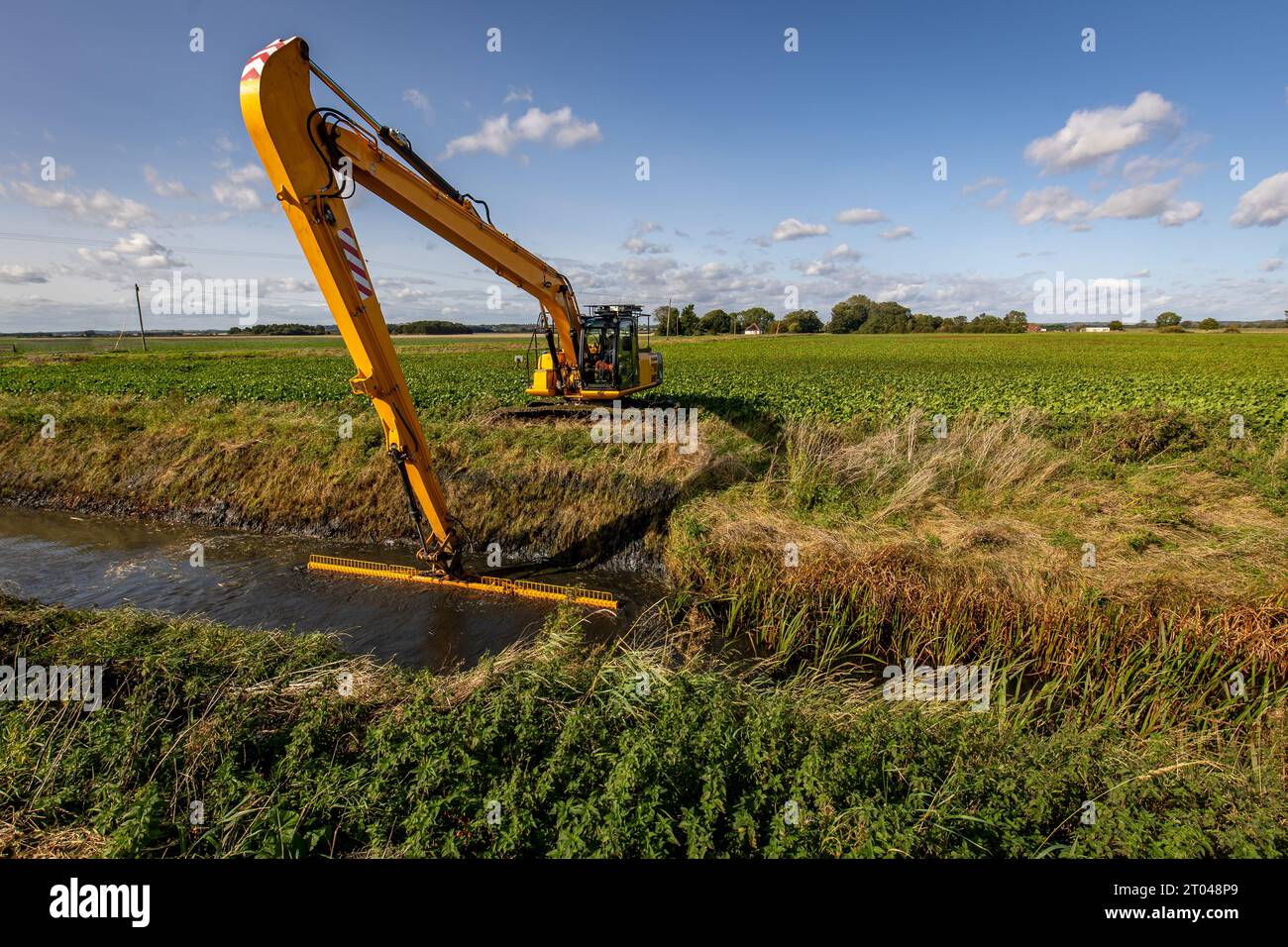 Reed cutting excavator clearing drainage ditches in the flat lands of ...