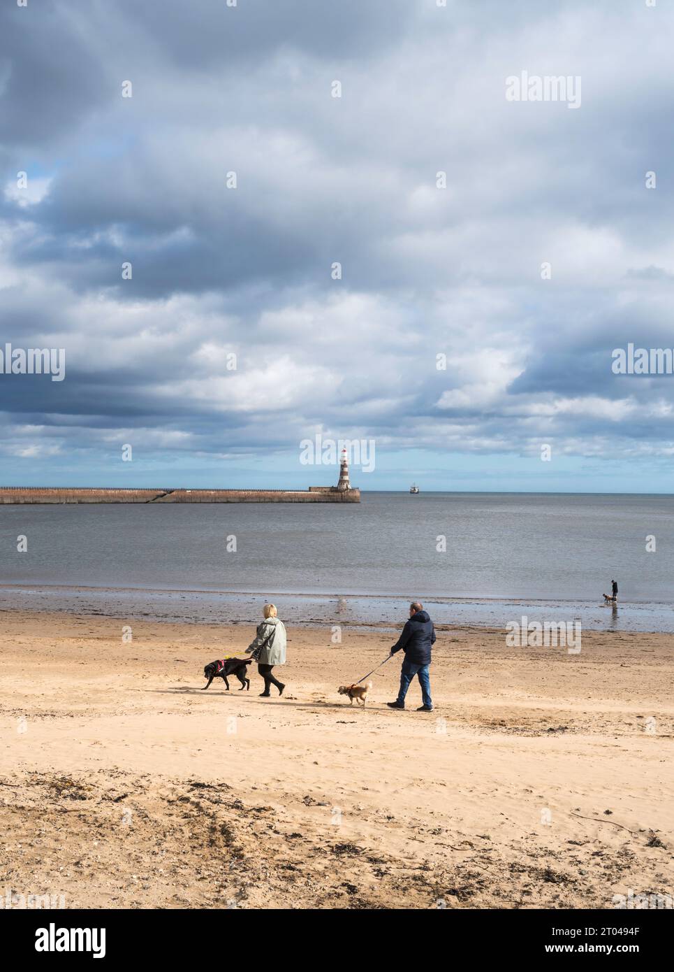 Couple walking dogs on Roker beach under a stormy sky, Roker, Sunderland, England, UK Stock ...