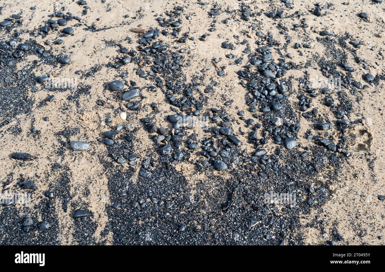 Pieces of sea coal washed onto the beach at Roker, Sunderland, England ...