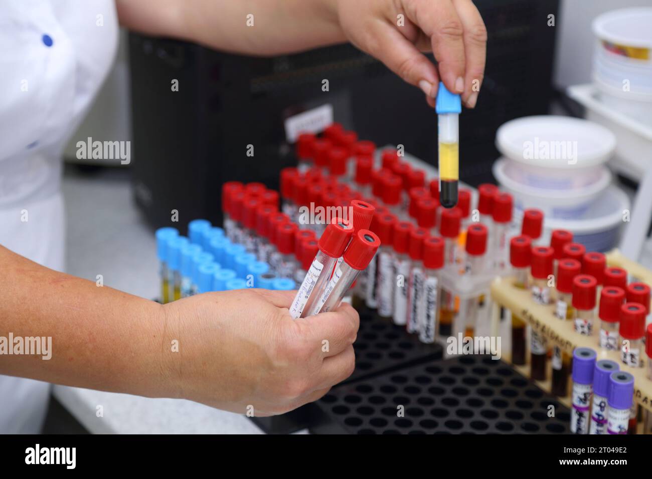 Modern equipment in the medical laboratory. Modern medical laboratory ...