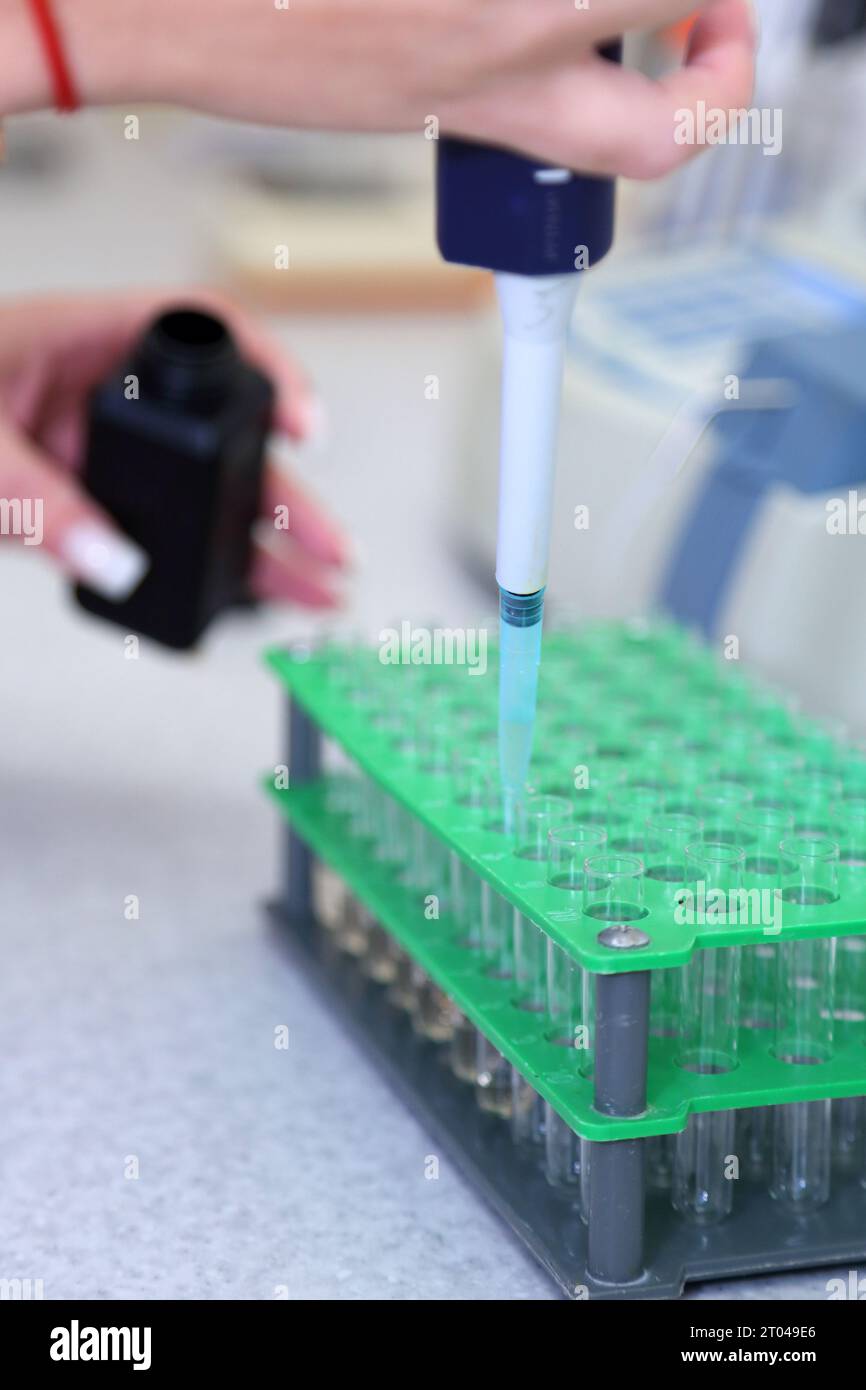 Modern equipment in the medical laboratory. Modern medical laboratory ...