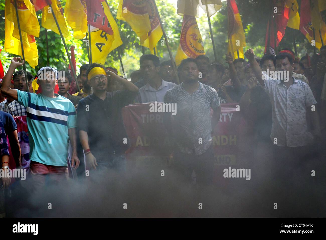 The ‘Tipraha Indigenous Progressive Regional Alliance (TIPRA ...