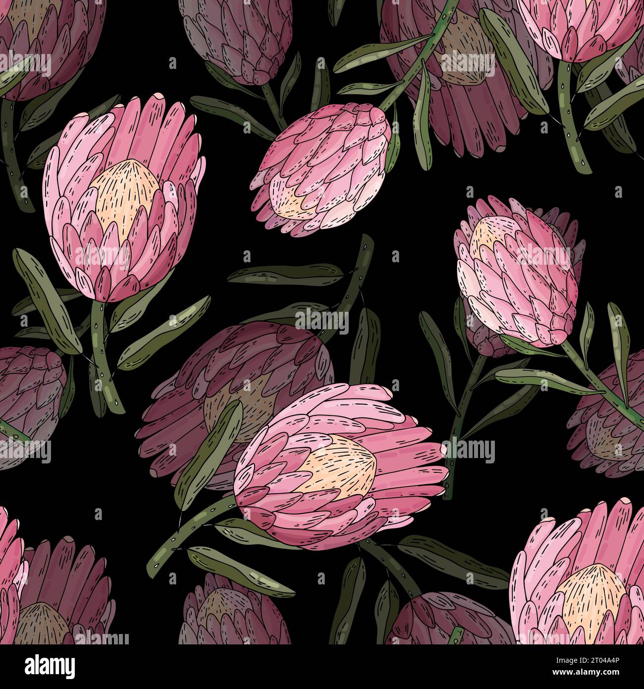Hand drawn vector seamless pattern of king protea Stock Vector Image ...