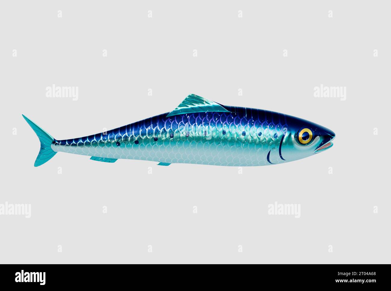 A shiny reflective blue sardine fish on an isolated white background ...