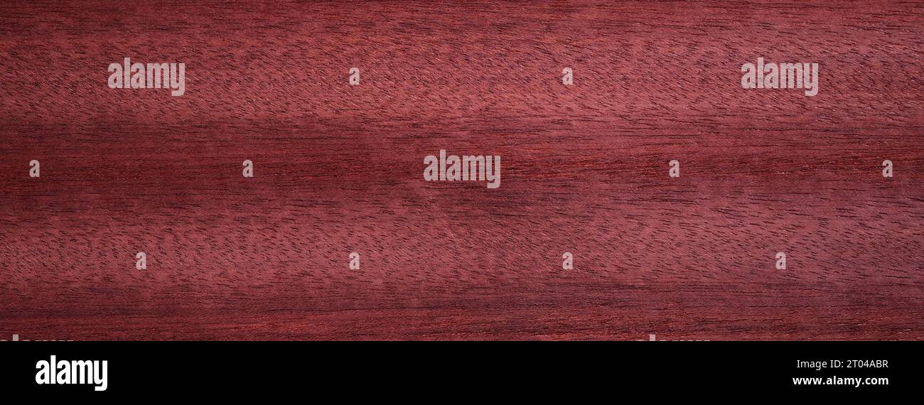 Closeup texture of wooden flooring made of Padauk Stock Photo - Alamy