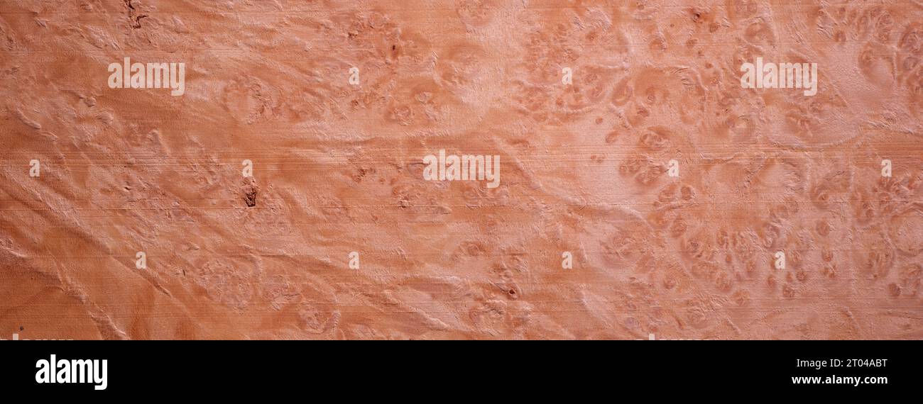 Closeup texture of wooden flooring made of Maple Burl Stock Photo - Alamy