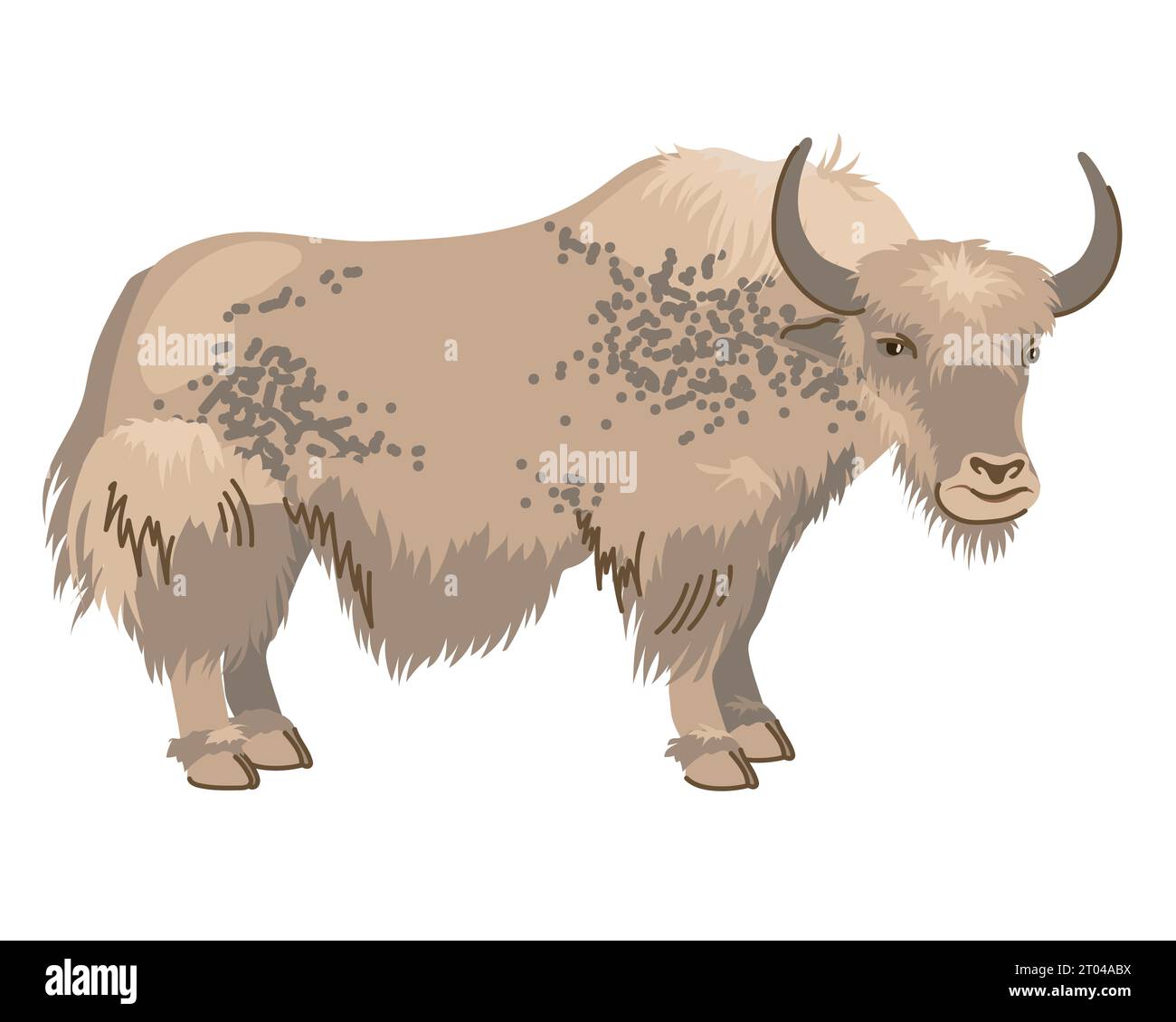 Beige spotted yak with long hair. A pet in Nepal and Tibet. Vector ...