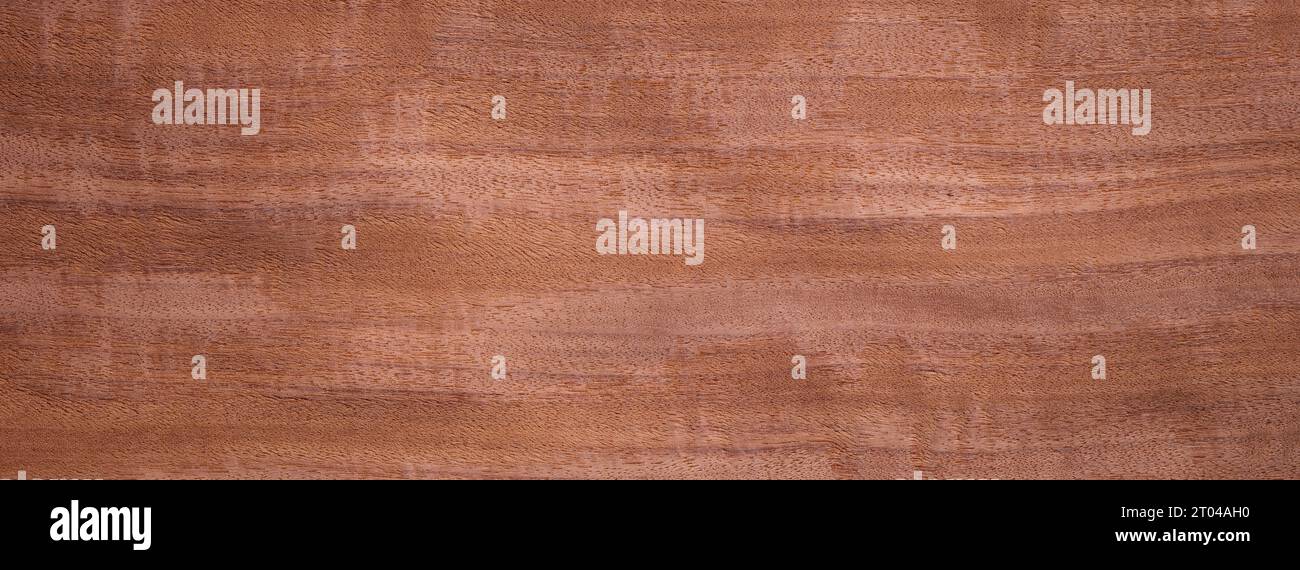 Closeup texture of wooden flooring made of Afromosia Stock Photo - Alamy
