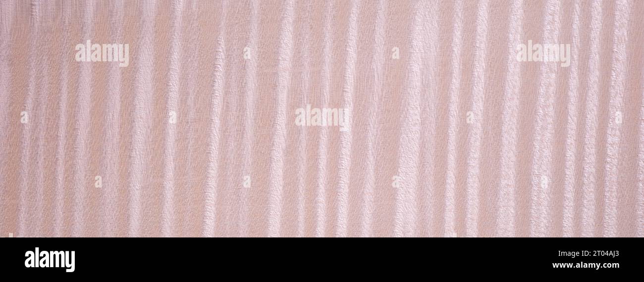 Sycamore grain closeup hi-res stock photography and images - Alamy