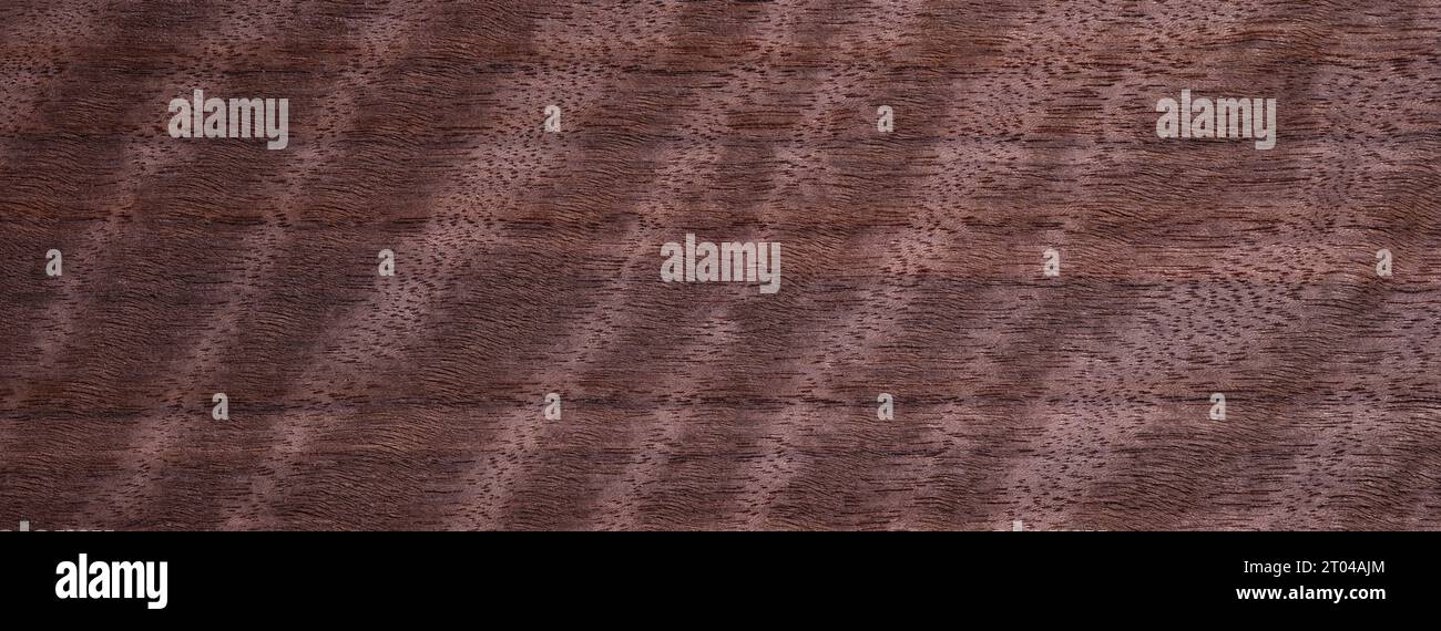 Closeup texture of wooden flooring made of Australian Walnut Stock ...
