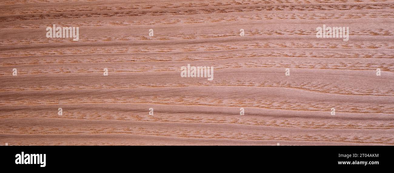 Closeup texture of wooden flooring made of Beech Chestnut Stock Photo ...