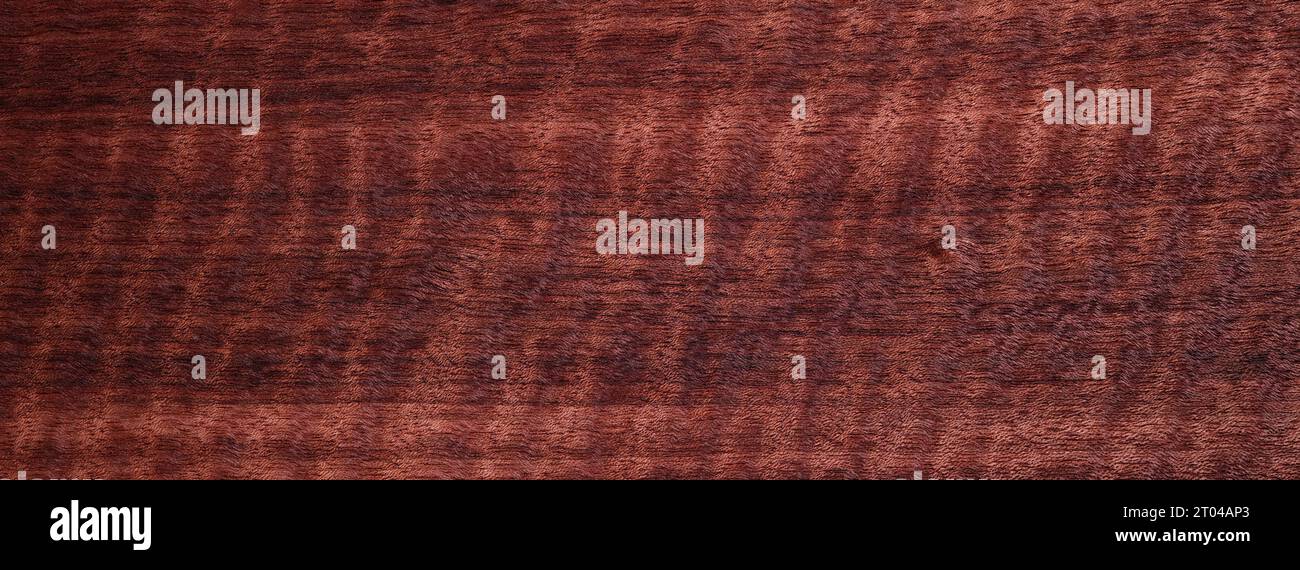 Closeup texture of wooden flooring made of Etimoe Curly Figure Stock ...