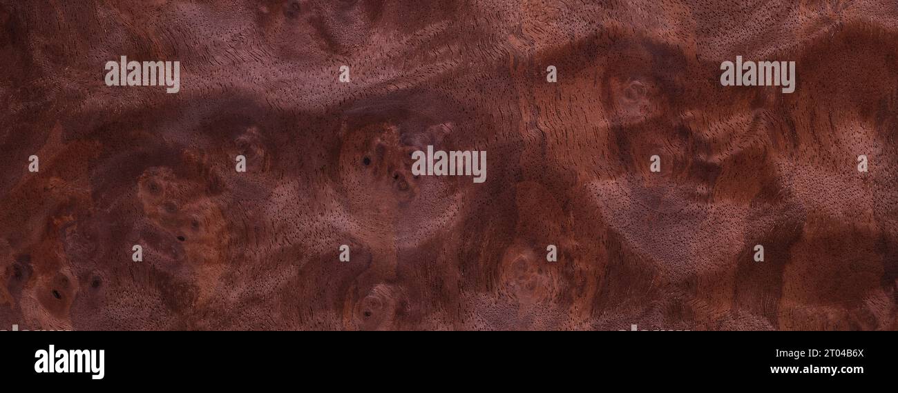 Closeup texture of wooden flooring made of Walnut Burl Stock Photo - Alamy