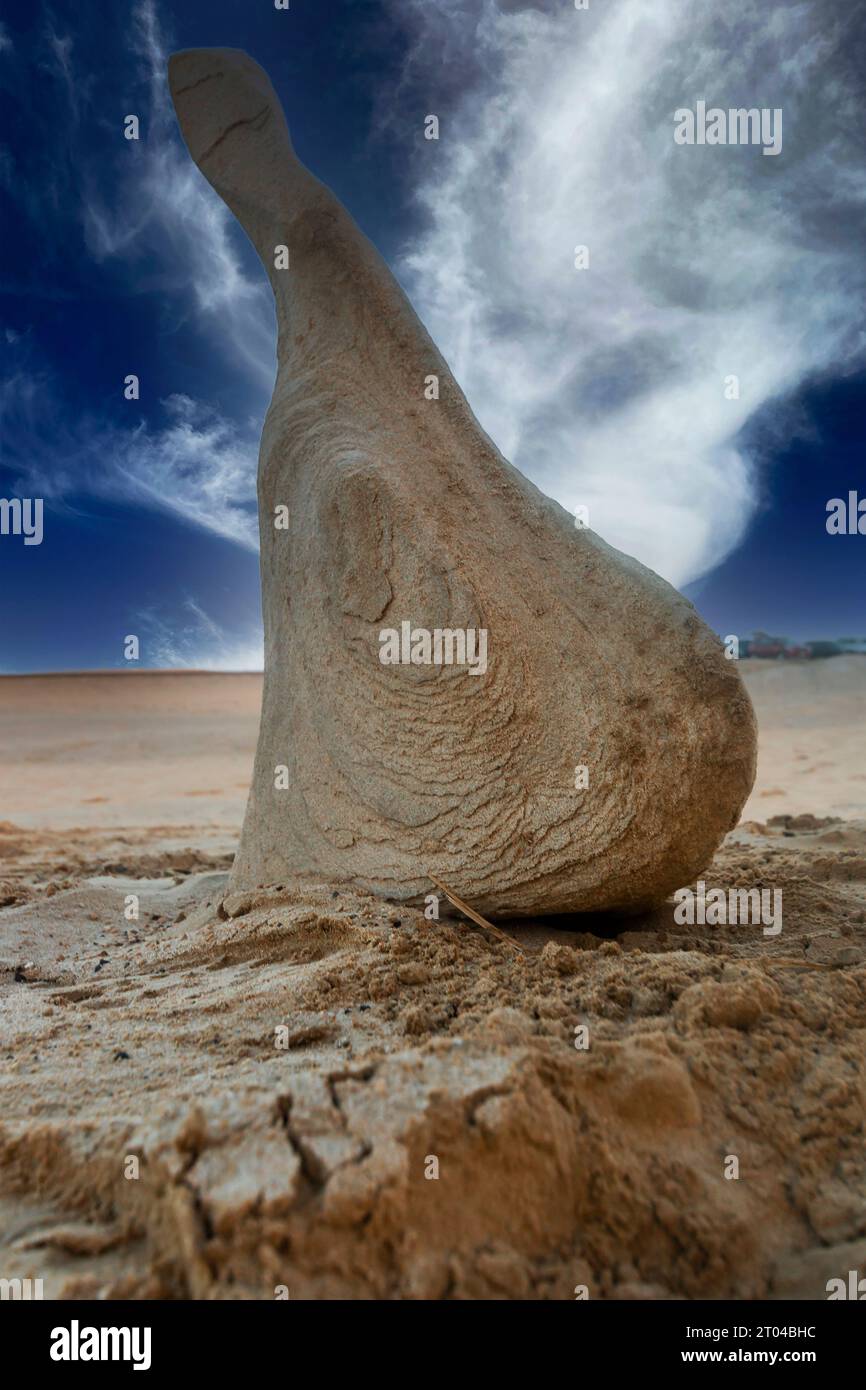 Fossil Rocks in the Desert of the United Arab Emirates Stock Photo - Alamy