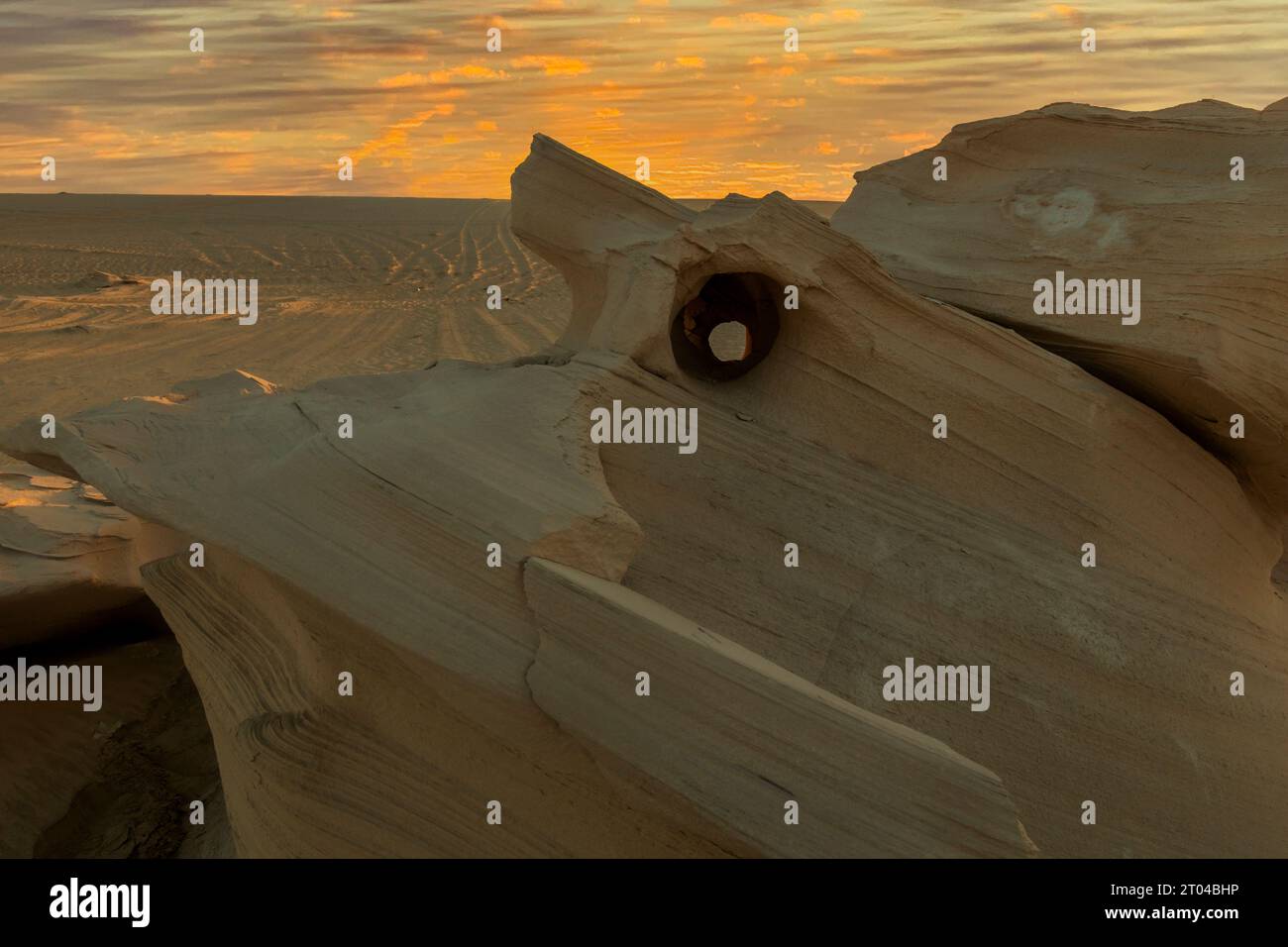 Fossil Rocks in the Desert of the United Arab Emirates Stock Photo - Alamy