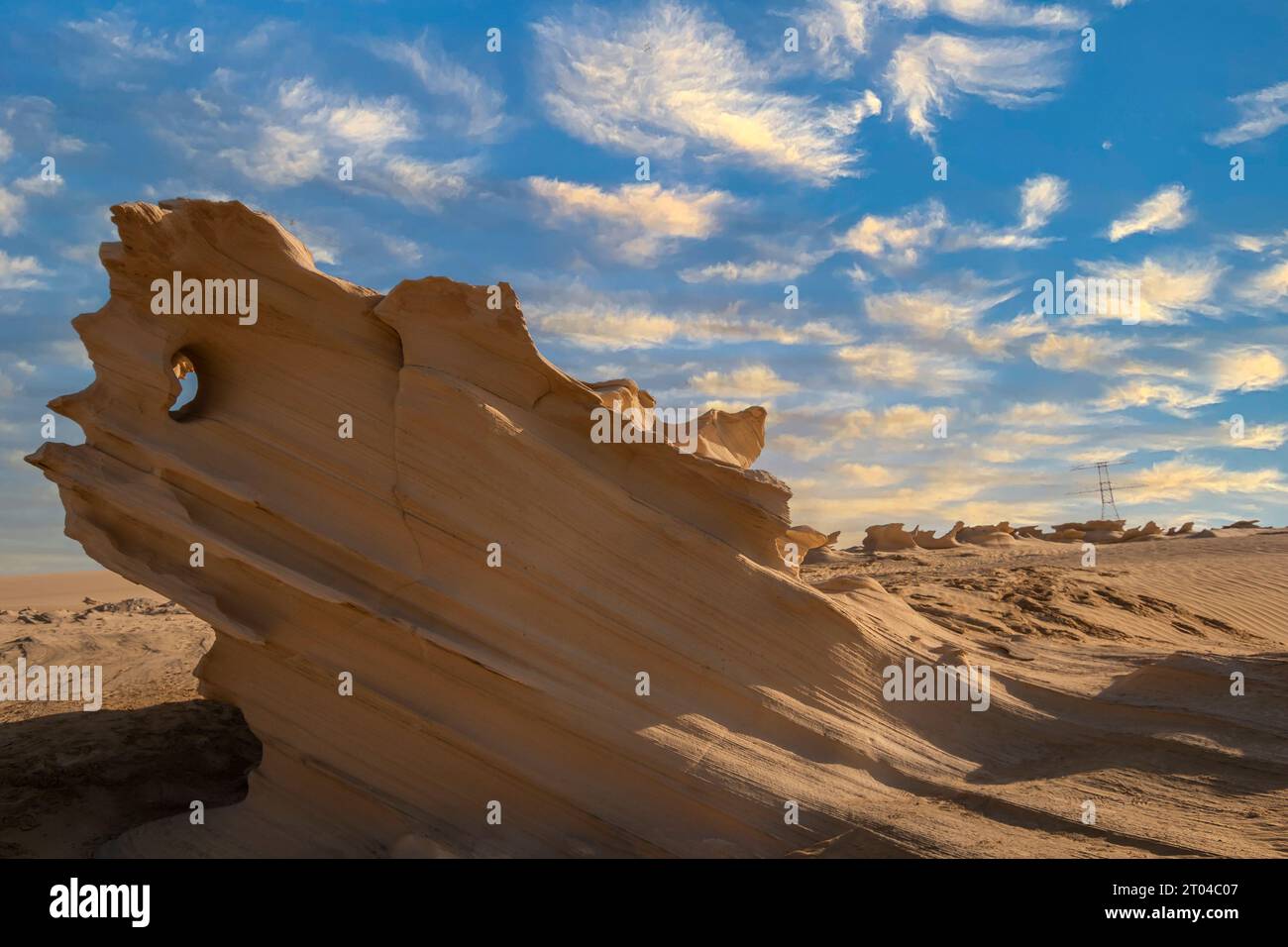 Fossil rocks hi-res stock photography and images - Alamy