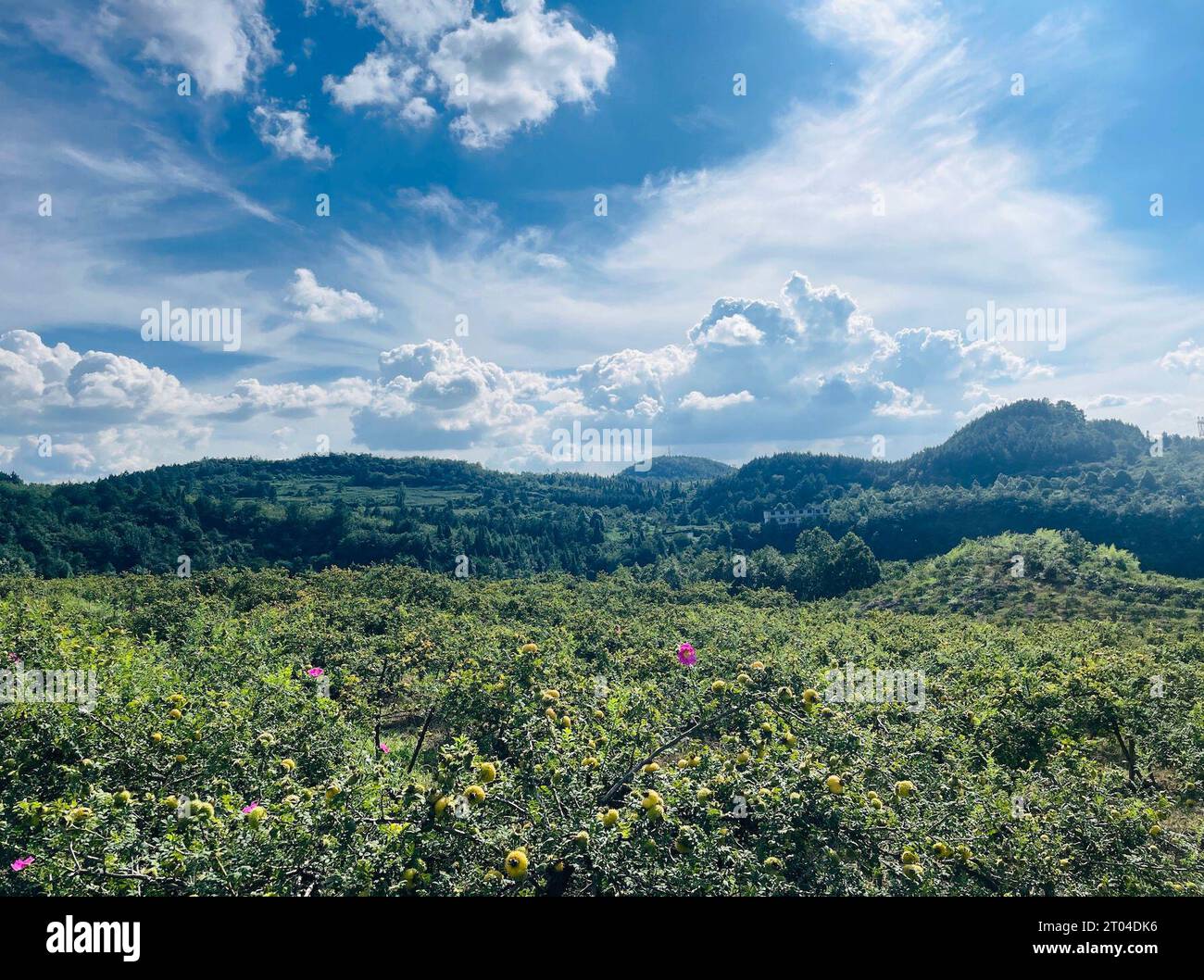 Guiyang, China's Guizhou Province. 3rd Aug, 2023. This photo taken with ...
